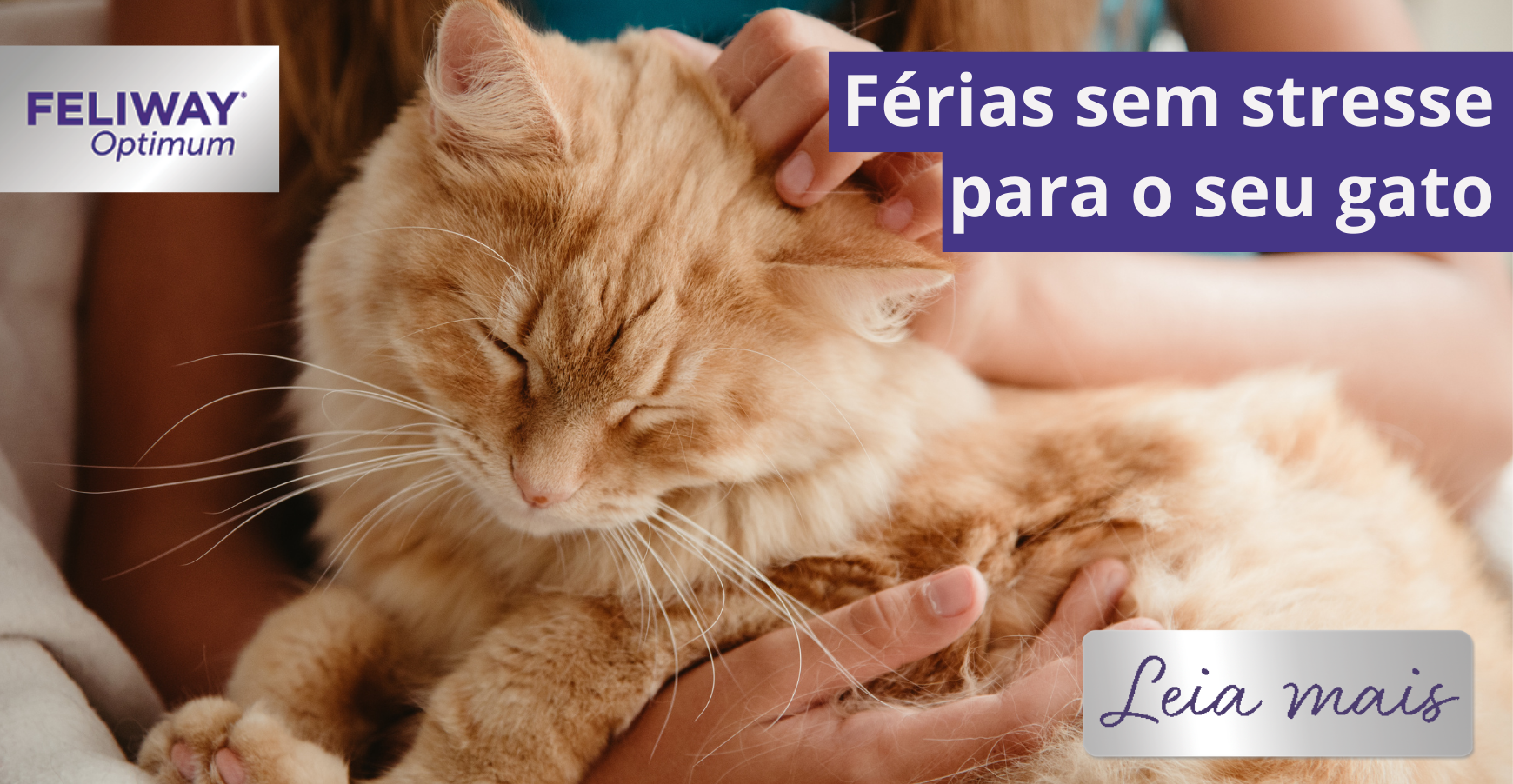 Férias sem stresse para o seu gato Férias sem stresse para o seu gato